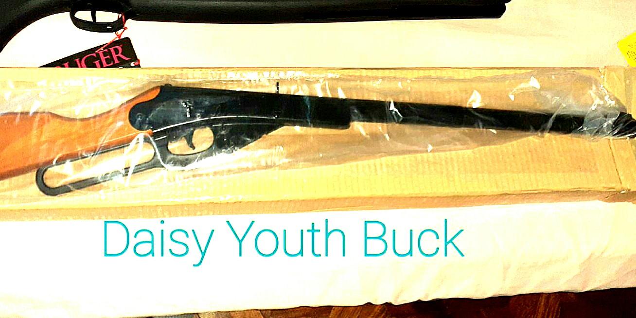 Airsoft Crosman Pumpmaster Daisy Buck Air Rifle on Carousell
