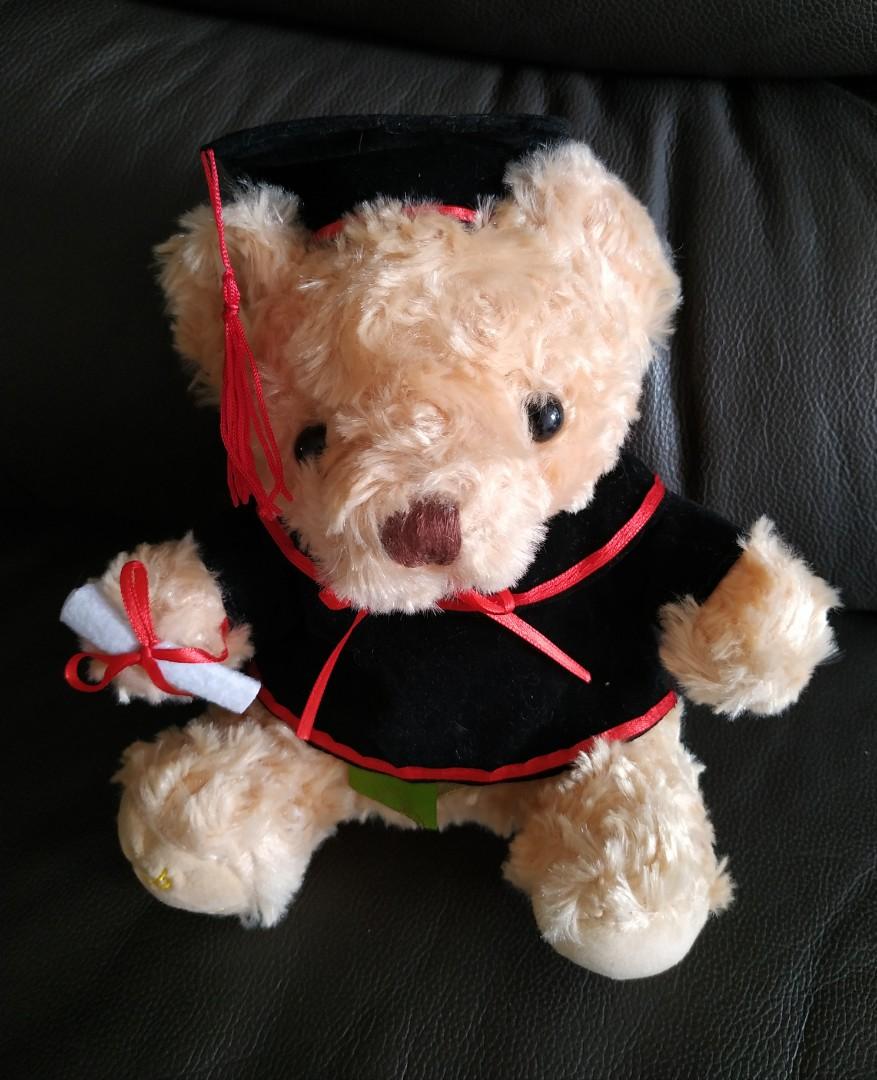 Graduation Prof Bear, Hobbies & Toys, Toys & Games on Carousell