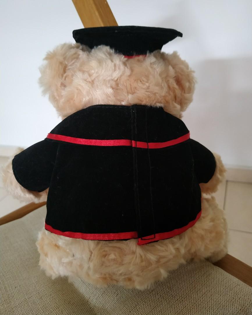 Graduation Prof Bear, Hobbies & Toys, Toys & Games on Carousell