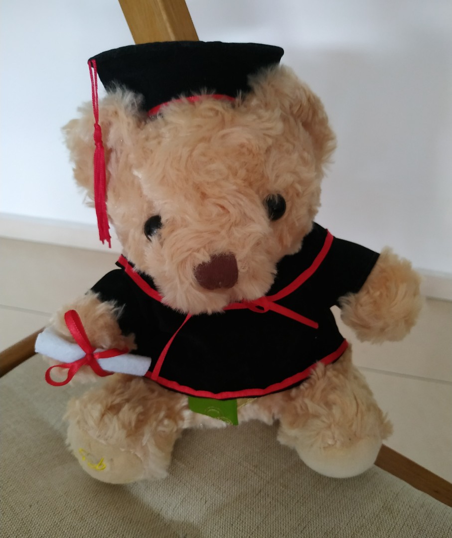 Graduation Prof Bear, Hobbies & Toys, Toys & Games on Carousell