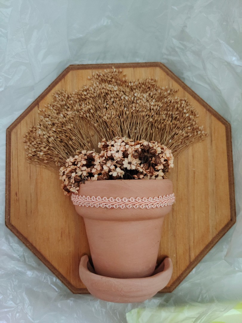 Dried flower wall display, Hobbies & Toys, Occasions & Party Supplies ...