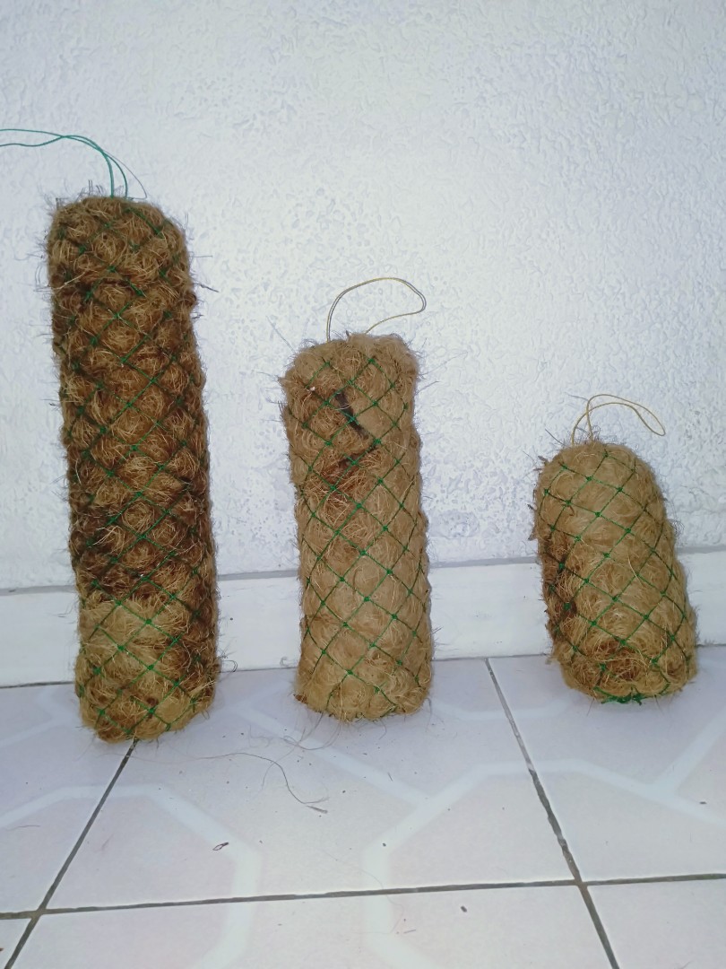 Coco wattles for orchids Direct Supplier (mini coco logs), Furniture ...