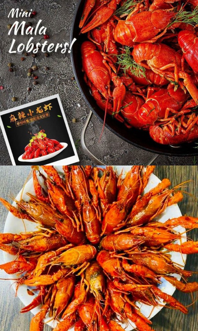 Mala Mini Lobster & Smoke Duck, Food & Drinks, Chilled & Frozen Food on ...
