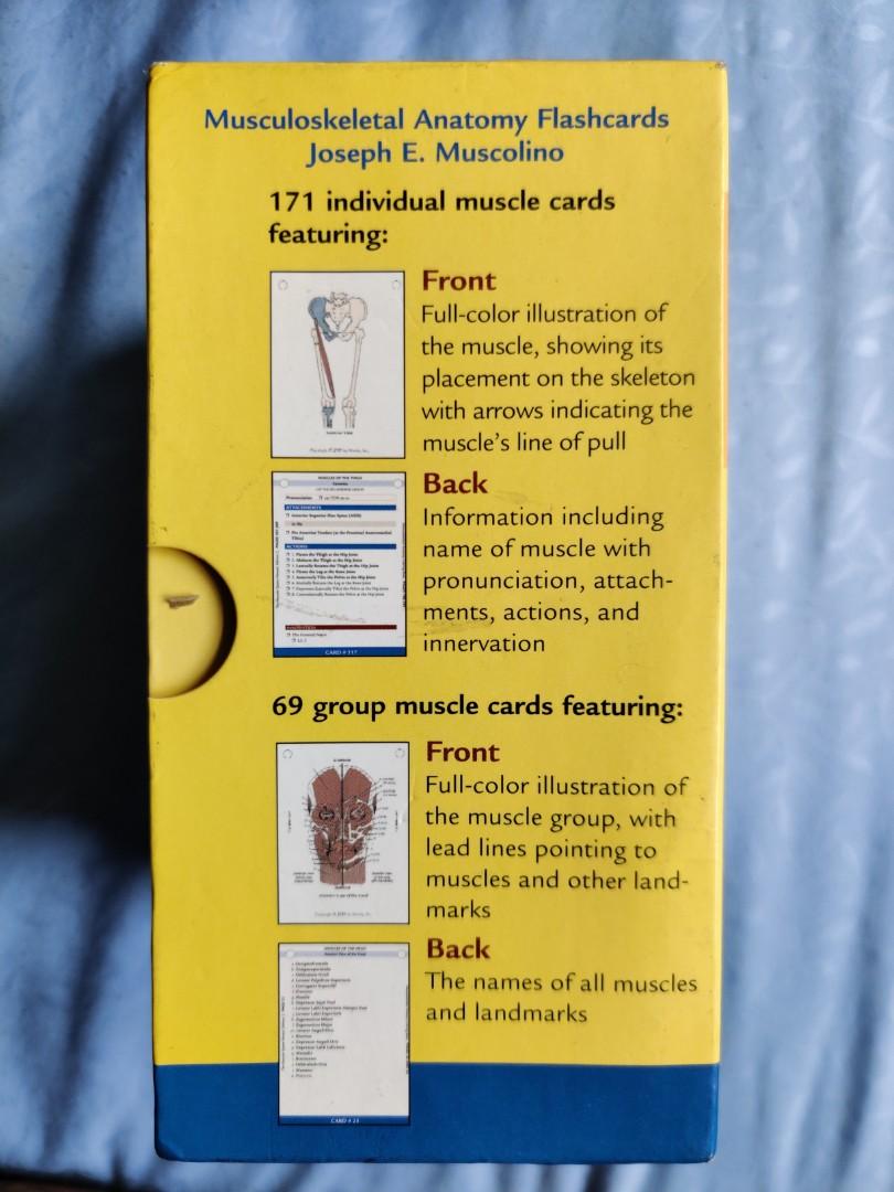 Muscolino - Musculoskeletal Anatomy Flashcards, Hobbies & Toys, Books ...