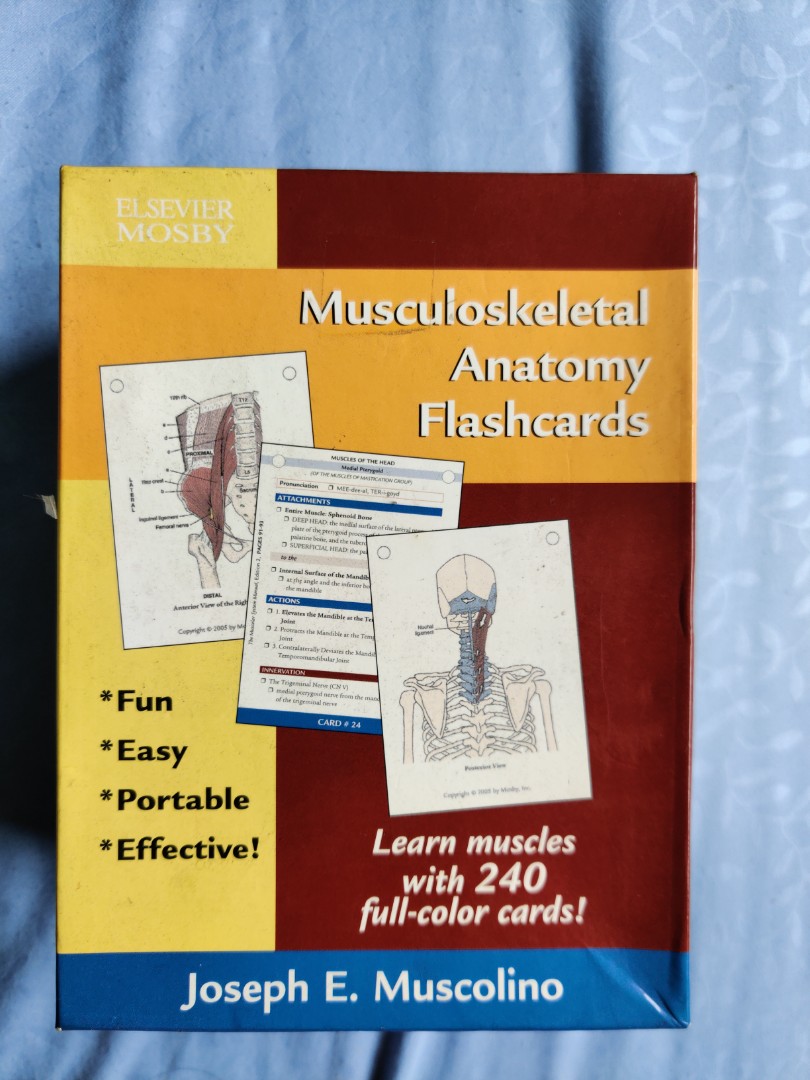 Muscolino - Musculoskeletal Anatomy Flashcards, Hobbies & Toys, Books ...