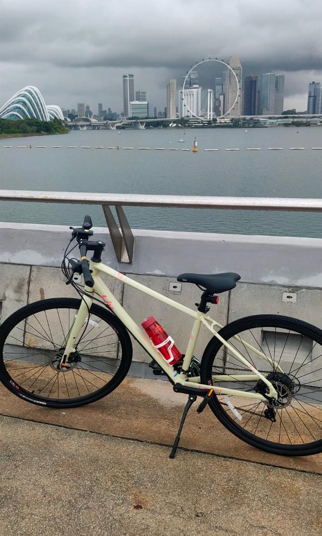 Giant LIV Alight 1 Hybrid Ladies bike for Sale, Sports Equipment ...