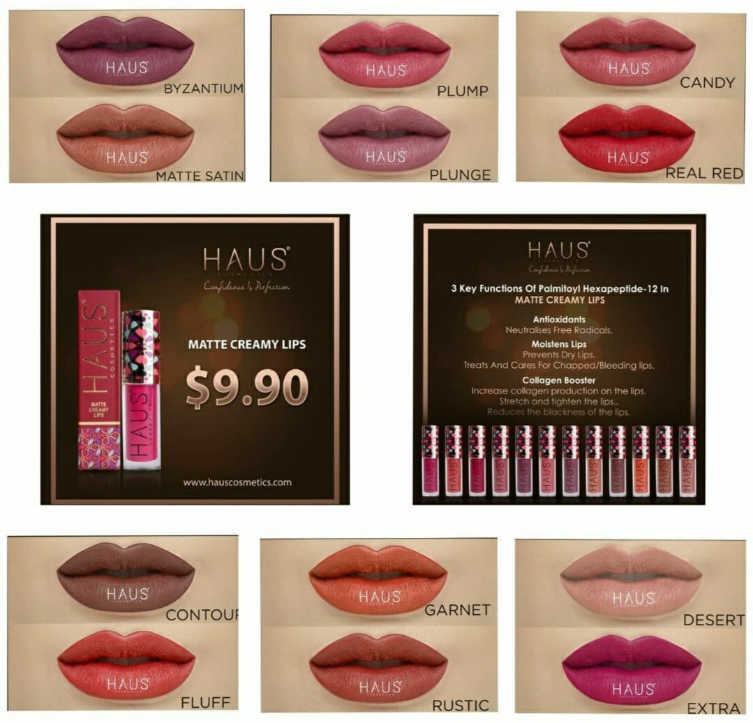 Haus Matte Creamy Lips /Non drying lipmatte, Beauty & Personal Care ...