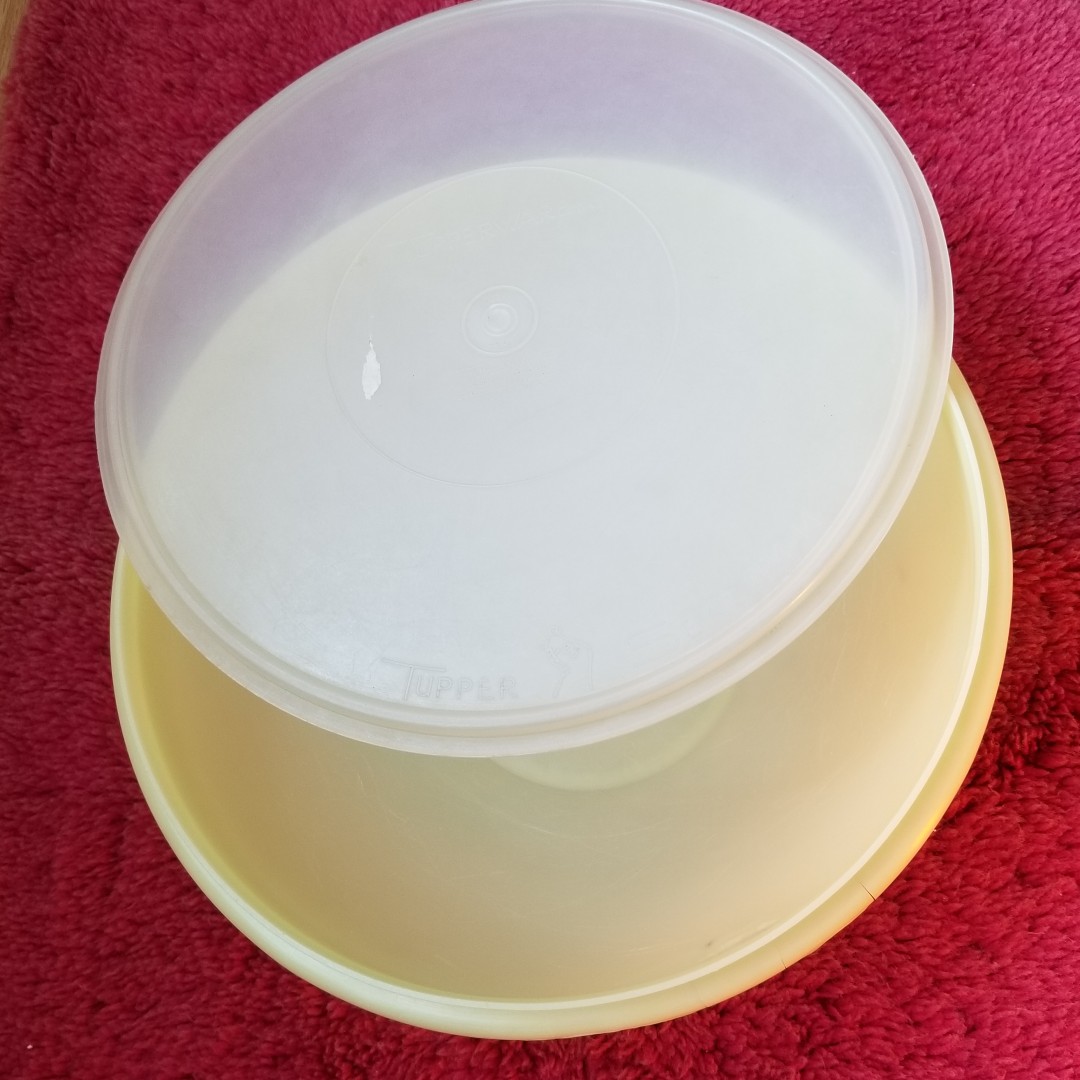 TUPPERWARE PLASTIC ...BIG CONTAINER, Furniture & Home Living ...