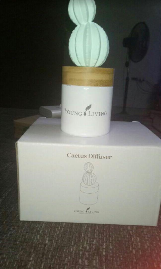 young living cactus diffuser, Beauty & Personal Care, Fragrance ...