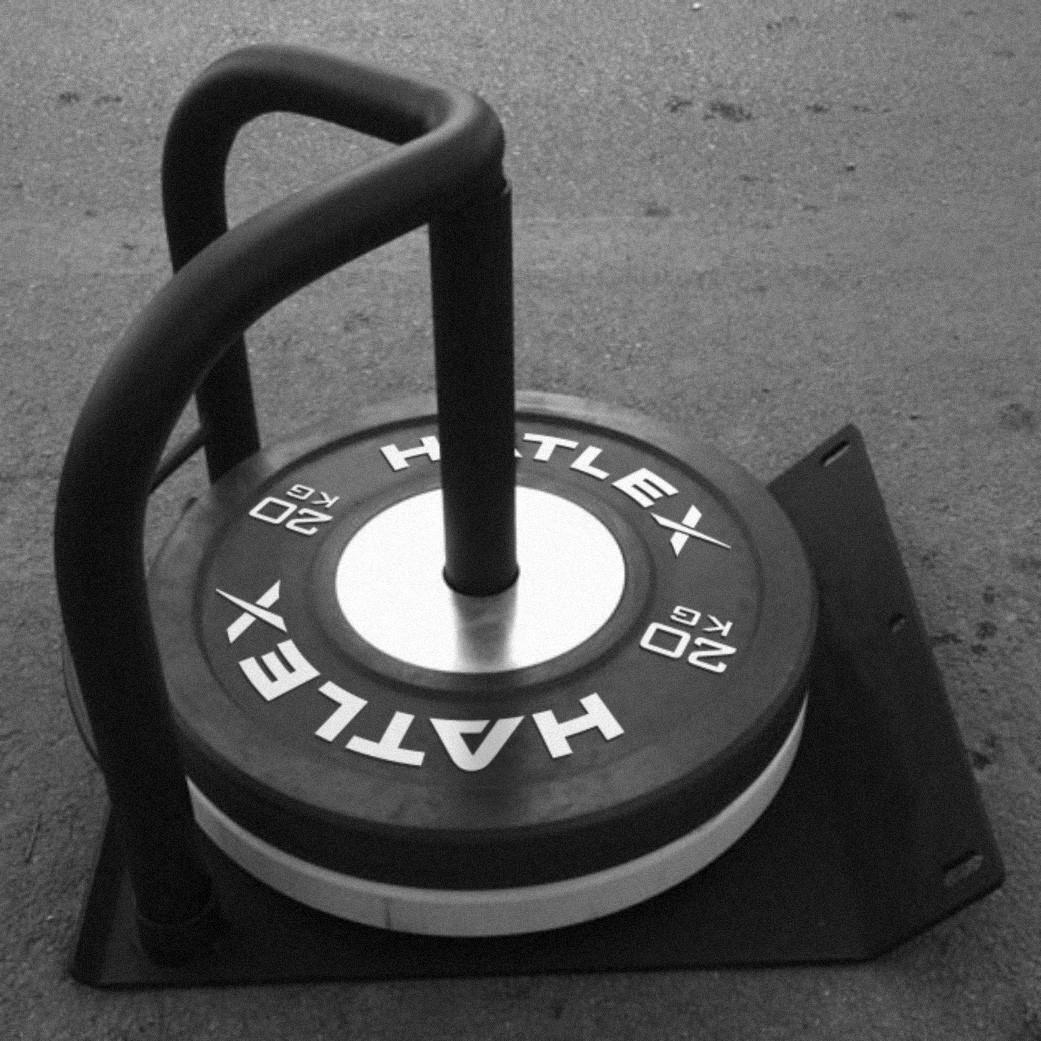 HATLEX GHD GLUTES HAMSTRING DEVELOPER SLED PROWLER BN, Sports Equipment ...