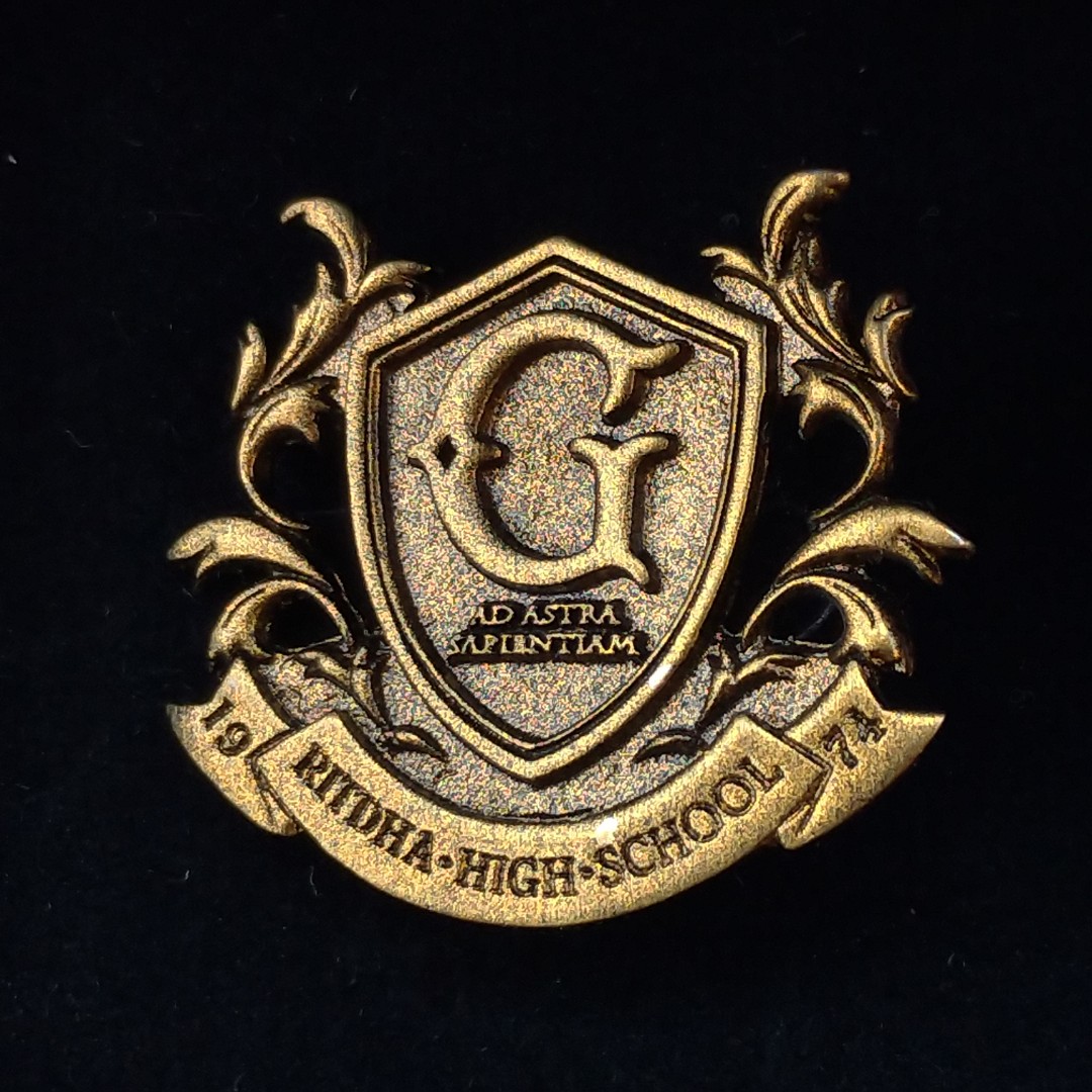 OFFICIAL The Gifted Pin Badge - Thai Brooch, Everything Else, Others on ...