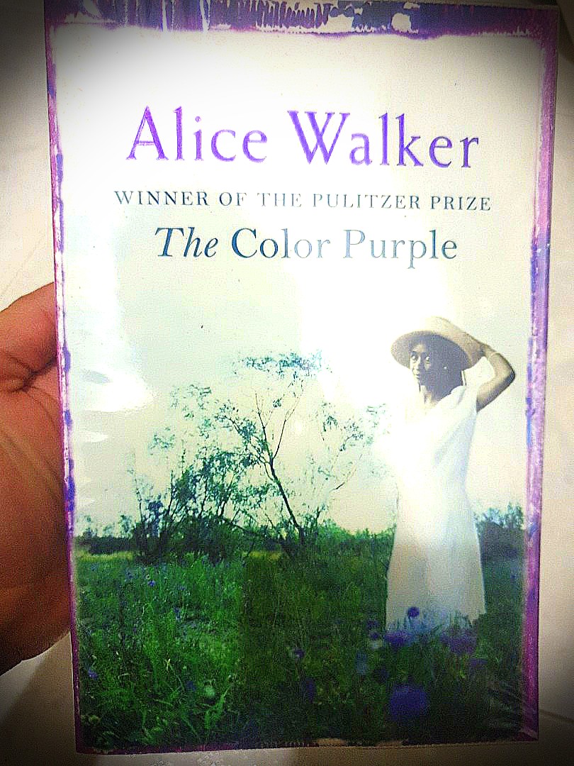 The Color Purple - Alice Walker, Books & Stationery, Textbooks ...