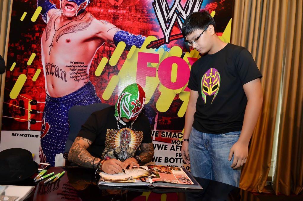 WWE Wrestling Books, Hobbies & Toys, Books & Magazines, Assessment ...