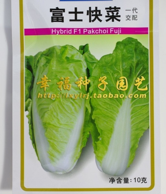 Japanese cabbage seeds (5 Grams), Furniture & Home Living, Gardening ...