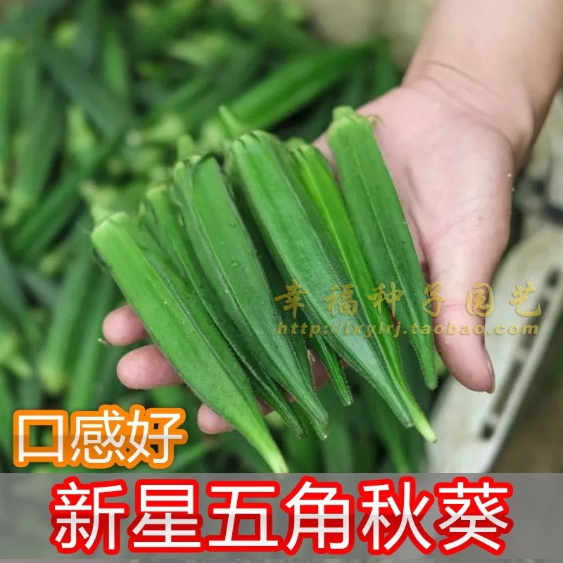 japanese Okra seeds (10 Grains), Furniture & Home Living, Gardening ...