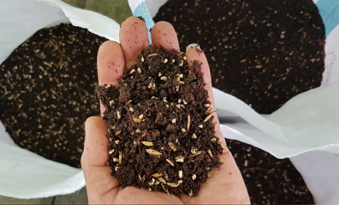 Aged Humus / Premium Compost Mix (4x1.5L Zip-Lock bag), Furniture ...