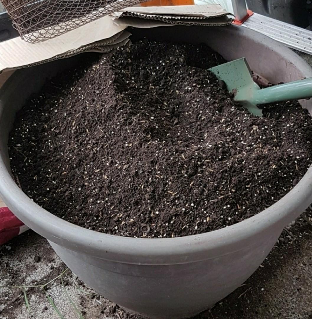 Aged Humus / Premium Compost Mix (4x1.5L Zip-Lock bag), Furniture ...