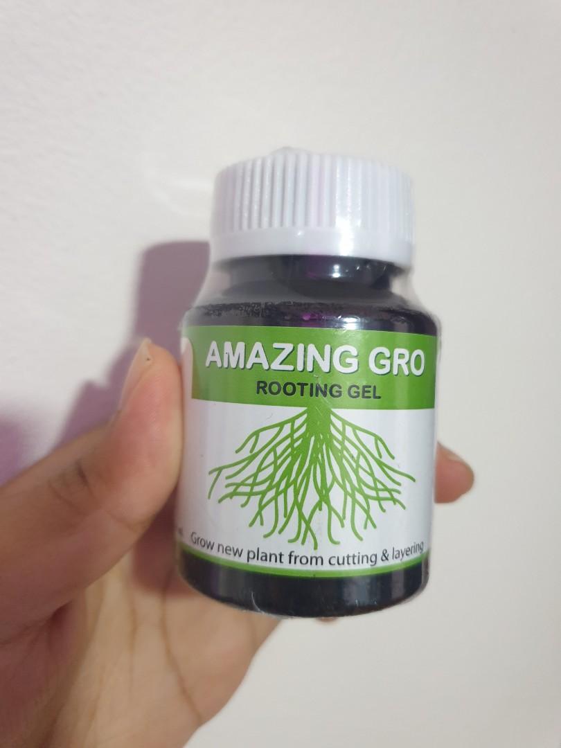 Amazing Gro rooting gel 60ml, Furniture & Home Living, Gardening ...