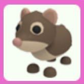 Elf Shrew | adopt me roblox, Video Gaming, Gaming Accessories, Game ...