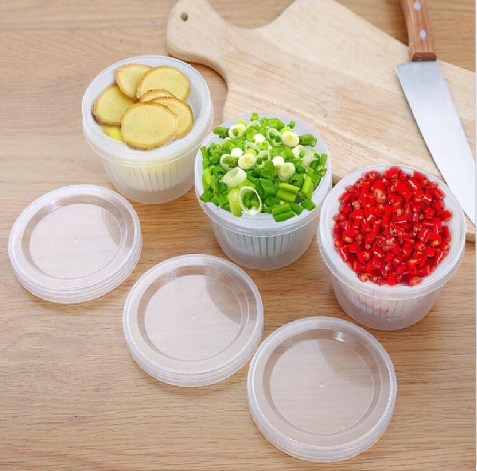 Garlic Onion Ginger Scallion Leek Food Plastic Storage Container / 2 ...