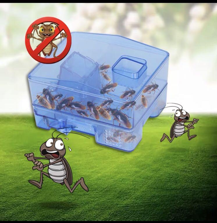 Cockroach / lizard trap box, Furniture & Home Living, Cleaning ...