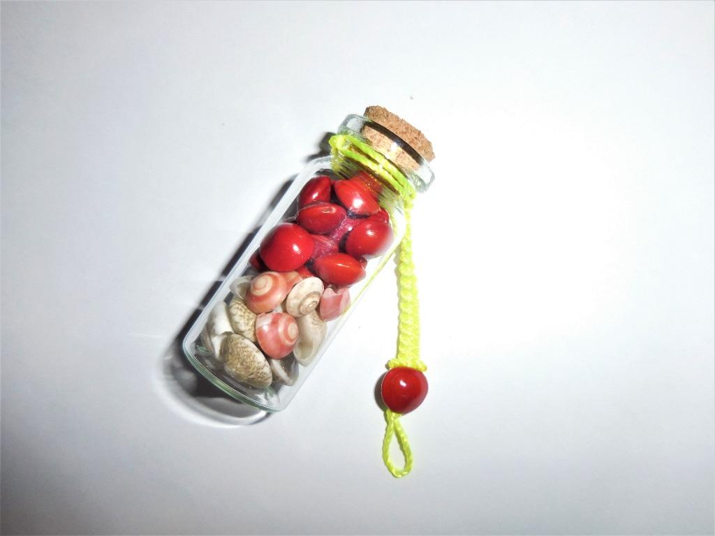 Friendship Bottle with Colorful Sundial Shells and Saga Seeds, Hobbies ...