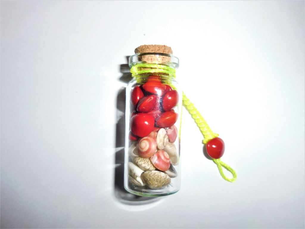 Friendship Bottle with Colorful Sundial Shells and Saga Seeds, Hobbies ...