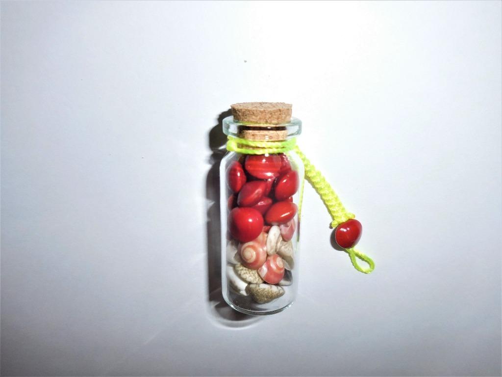 Friendship Bottle with Colorful Sundial Shells and Saga Seeds, Hobbies ...