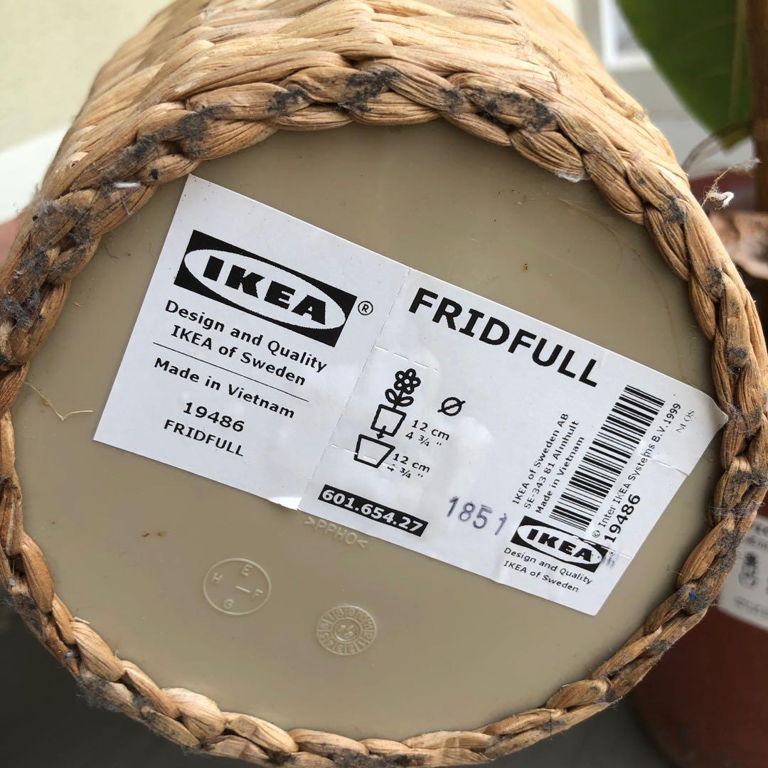 Ikea Fridfull Plant Pot, Furniture & Home Living, Gardening, Pots ...