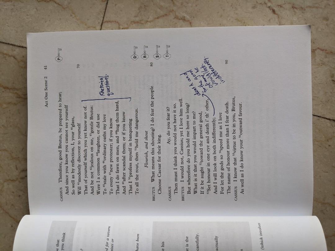 Julius Caesar Pansing Total Study Edition, Hobbies & Toys, Books ...