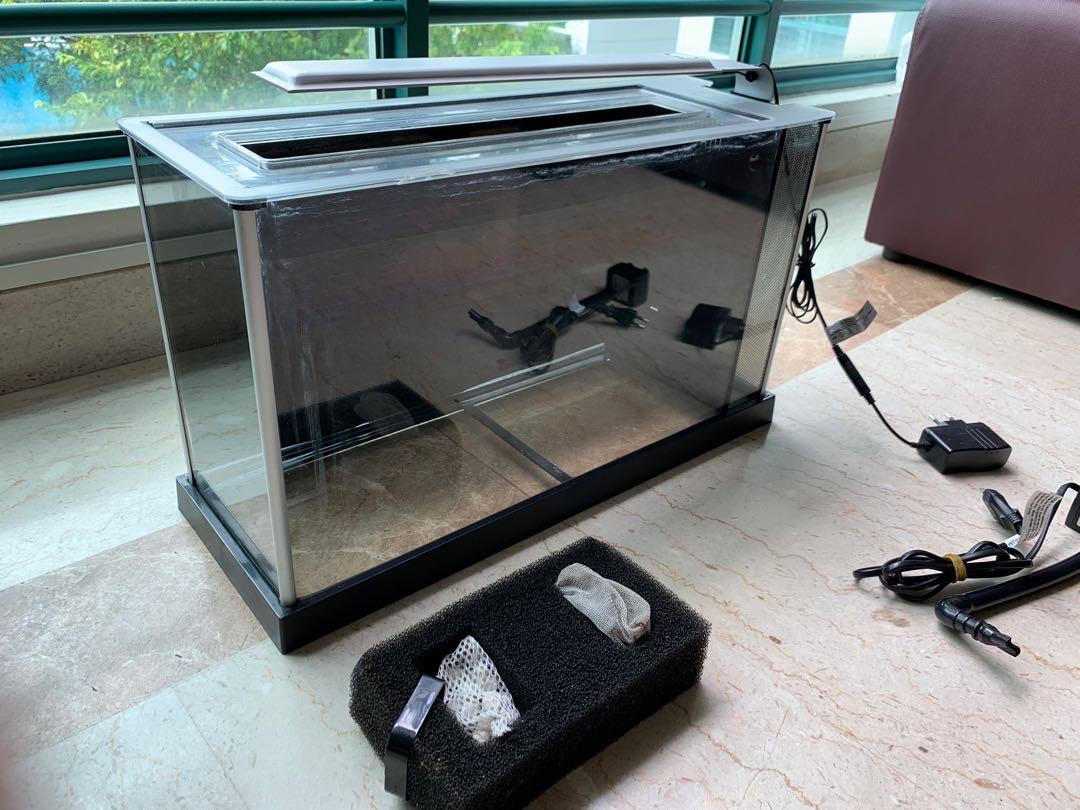 Fluval Spec 19L Fish Tank in black, Pet Supplies, Homes & Other Pet ...