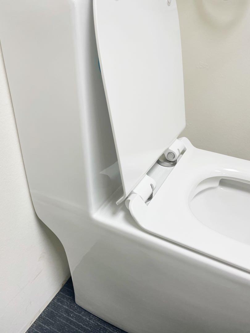 BARON W818 RIMLESS 1-PIECE TOILET BOWL (GEBERIT FLUSHING SYSTEM ...