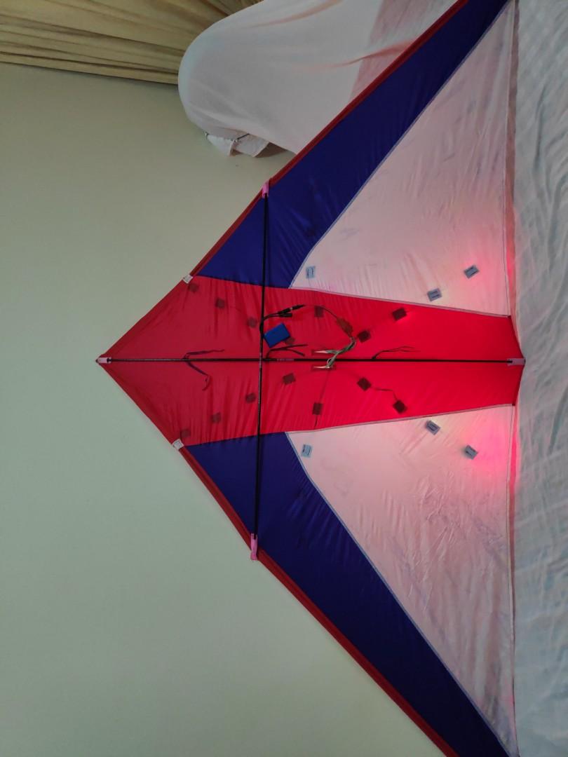 Delta Kite 2.3m with 24-LED lights, Hobbies & Toys, Toys & Games on ...