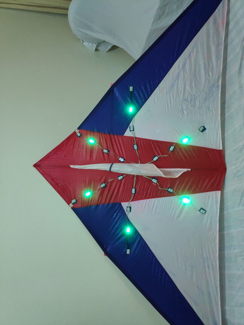 Delta Kite 2.3m with 24-LED lights, Hobbies & Toys, Toys & Games on ...
