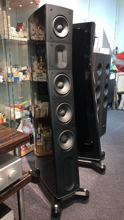 Raidho Acoustics D3.1 (price reduced), Audio, Other Audio Equipment on ...