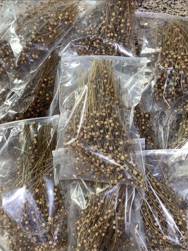 SOLD OUT 1.11 SALES - Flax Spray/Silver Millets/Oat Spray, Pet Supplies ...