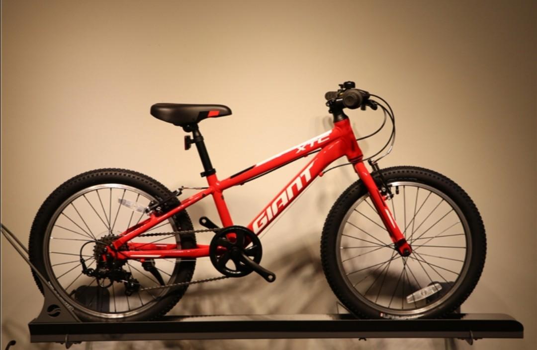 Giant XTC 20 inch kid mountain bike disc/ Vbrake, Sports Equipment ...