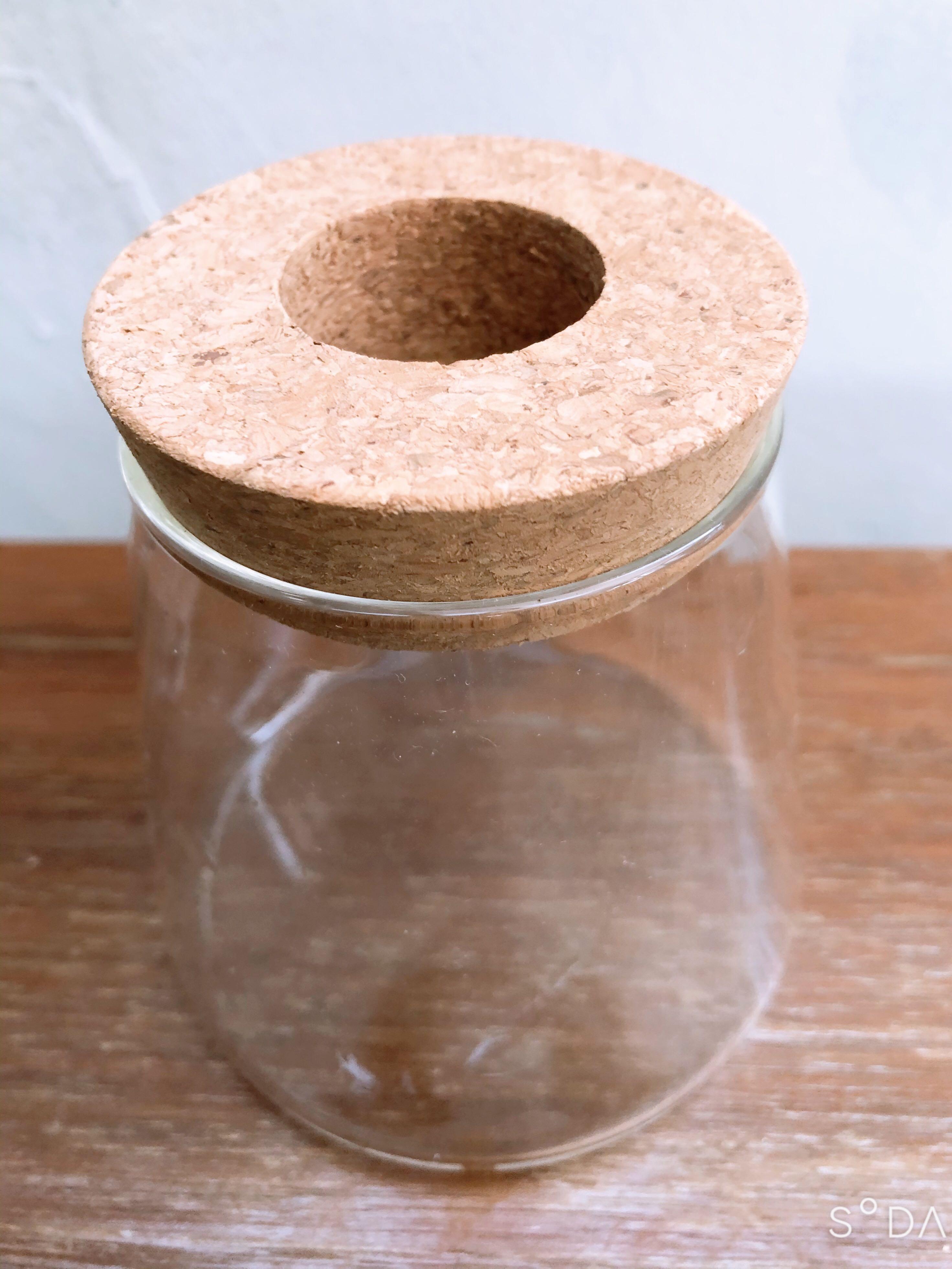 Propagation conical flask, Gardening, Gardening Tools & Ornaments on ...