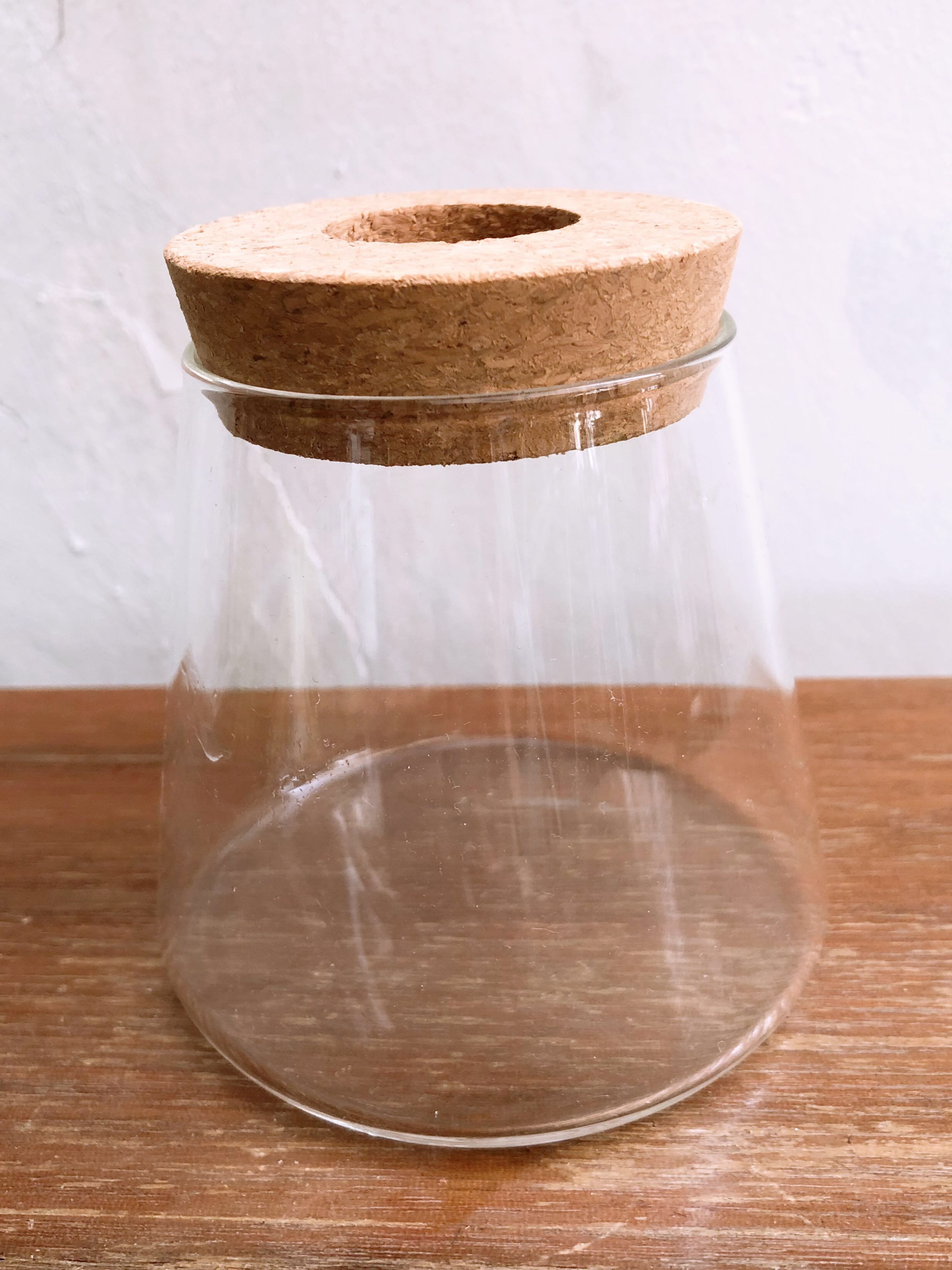 Propagation conical flask, Gardening, Gardening Tools & Ornaments on ...