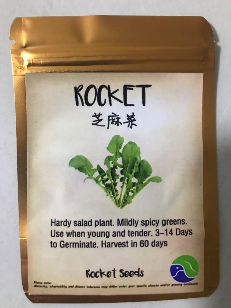 Rocket vegetables seeds, Furniture & Home Living, Gardening, Plants ...