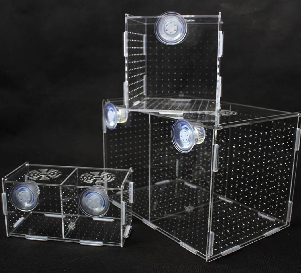 Aquarium fish fry acrylic isolation box. Can be used as breeding box ...