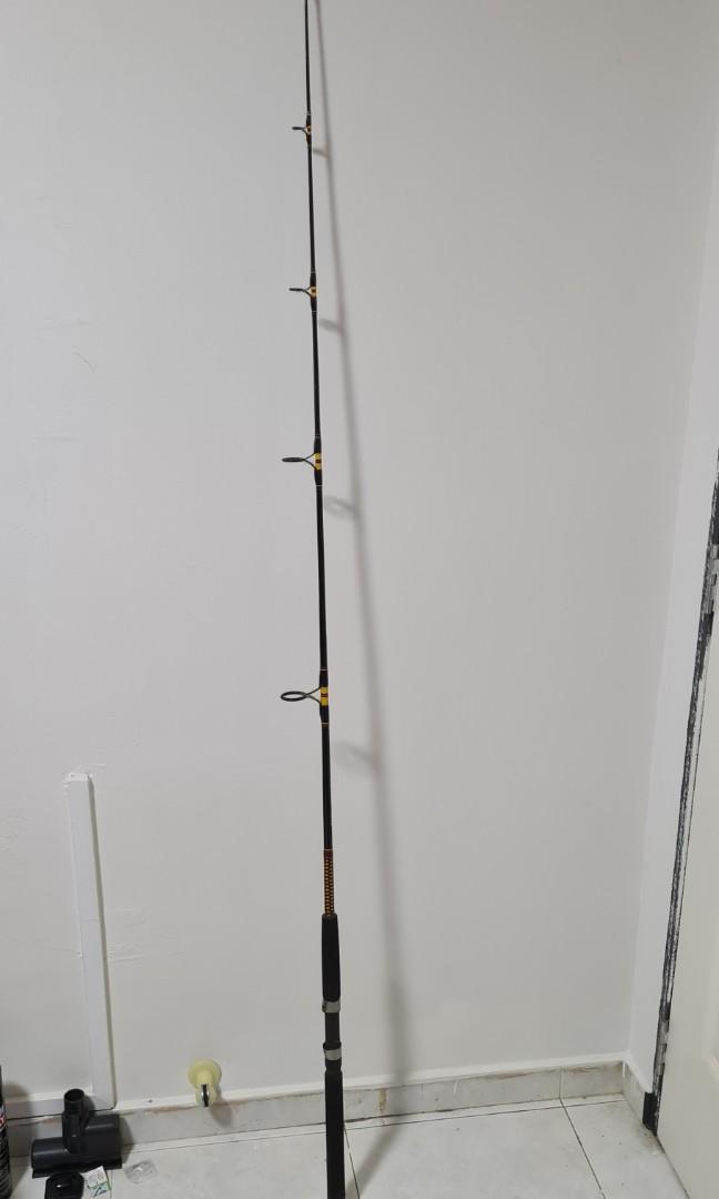 Shakespeare Ugly stik jigging rod, Sports Equipment, Fishing on Carousell