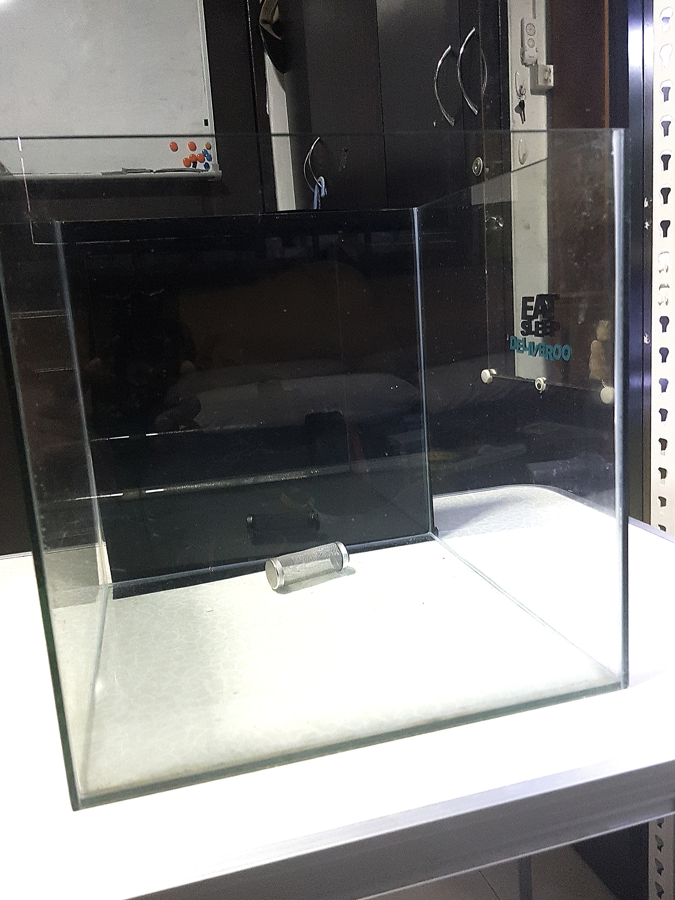 1ft by 1ft glass cube tank (30cm×30cm), Pet Supplies, Homes & Other Pet ...