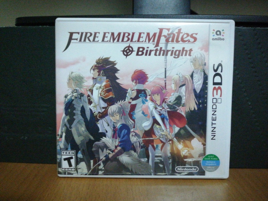 Fire Emblem Fates Birthright, Video Gaming, Video Games, Nintendo on ...