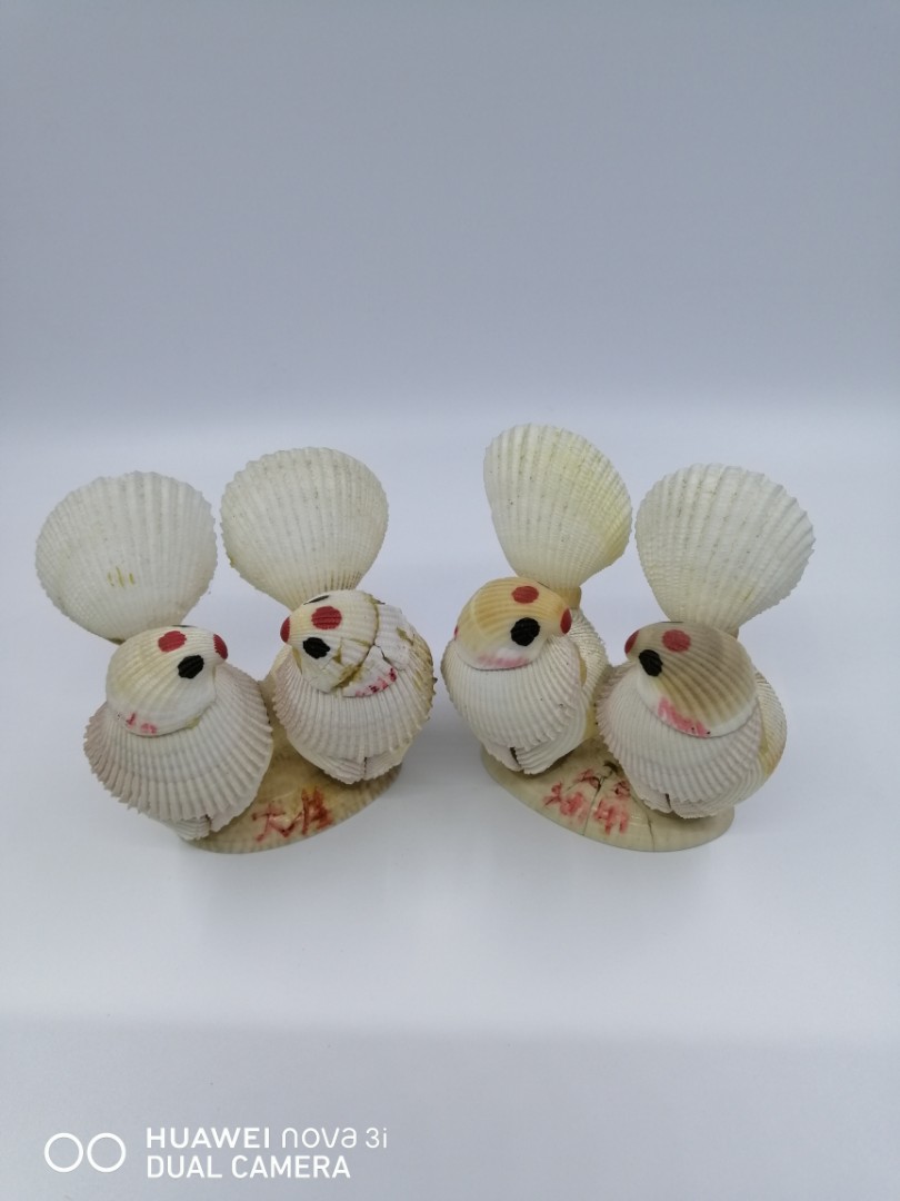 Seashell Birds, Hobbies & Toys, Stationery & Craft, Occasions & Party ...