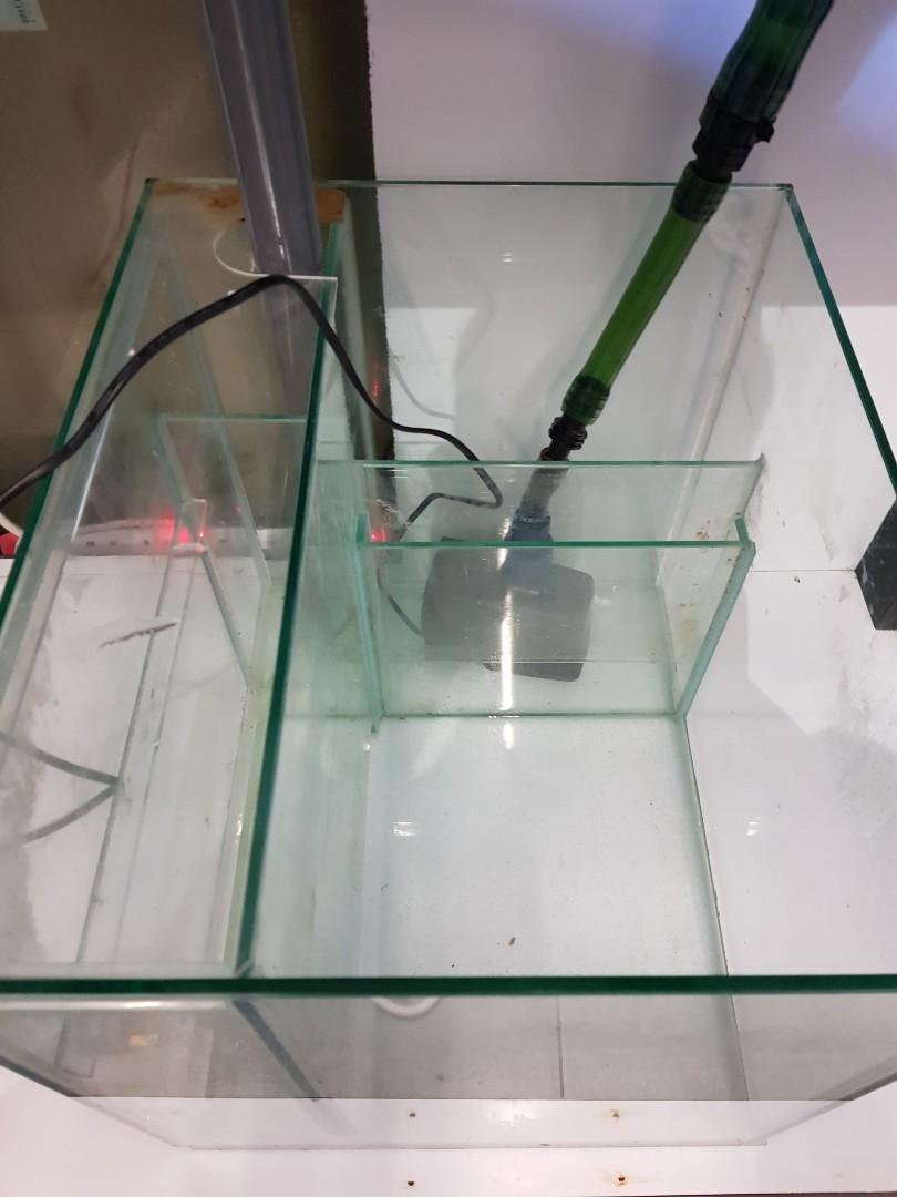 100 x 50 x 50cm tank and cabinet with sump tank and pump, Pet Supplies ...
