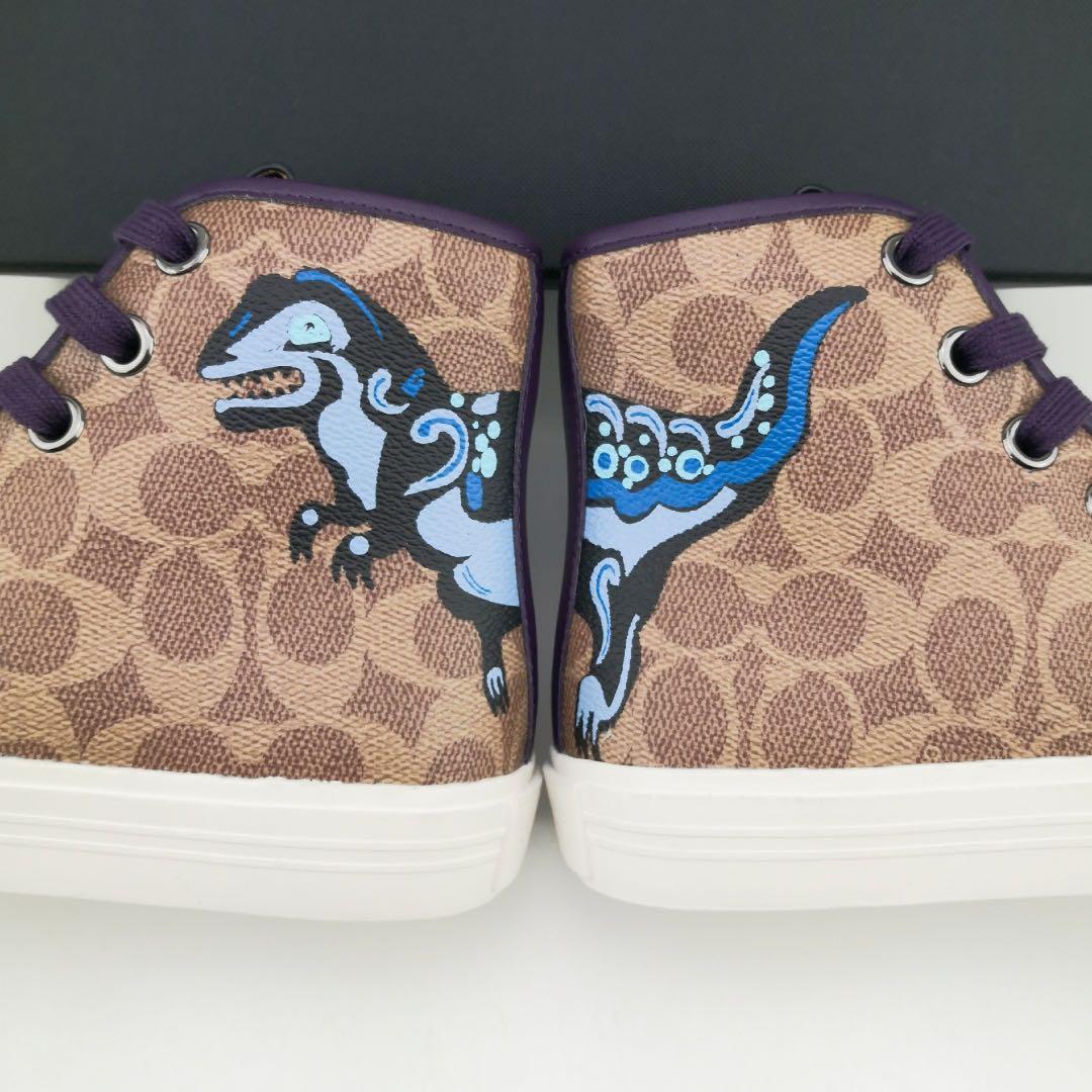 Coach Rexy Shoes, Women's Fashion, Shoes, Boots on Carousell