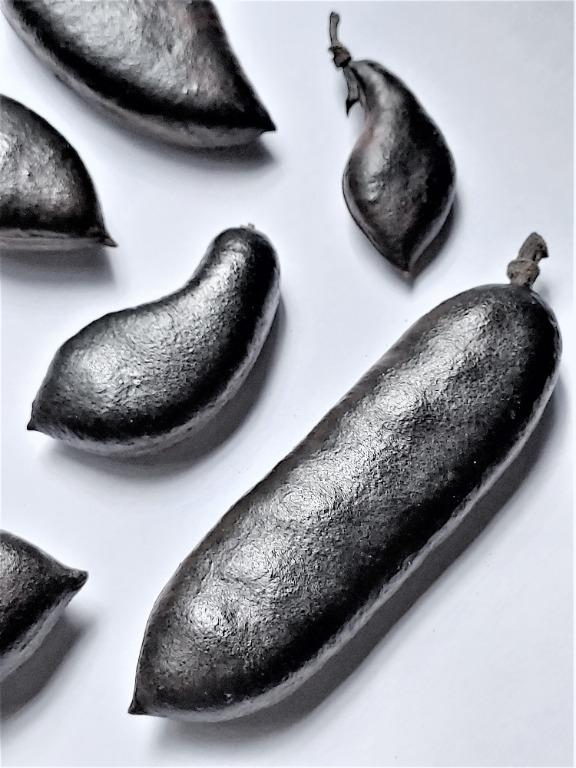Leopard Tree Fruit Pods, Design & Craft, Craft Supplies & Tools on ...