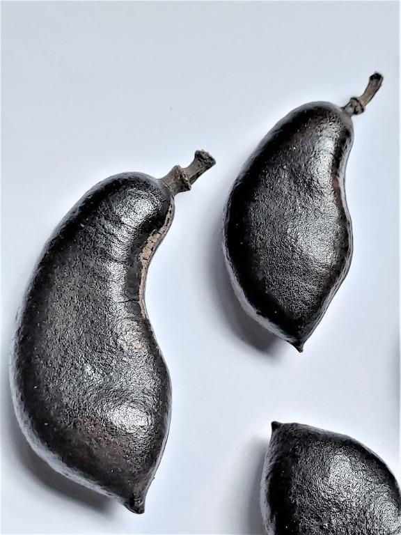 Leopard Tree Fruit Pods, Design & Craft, Craft Supplies & Tools on ...