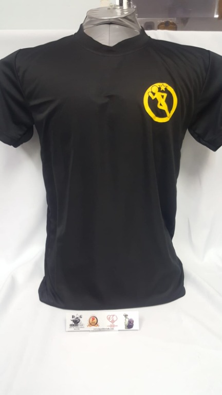 LAST PIECE Army SAF IPPT Gold Dry-Fit T-shirts, Men's Fashion, Tops ...